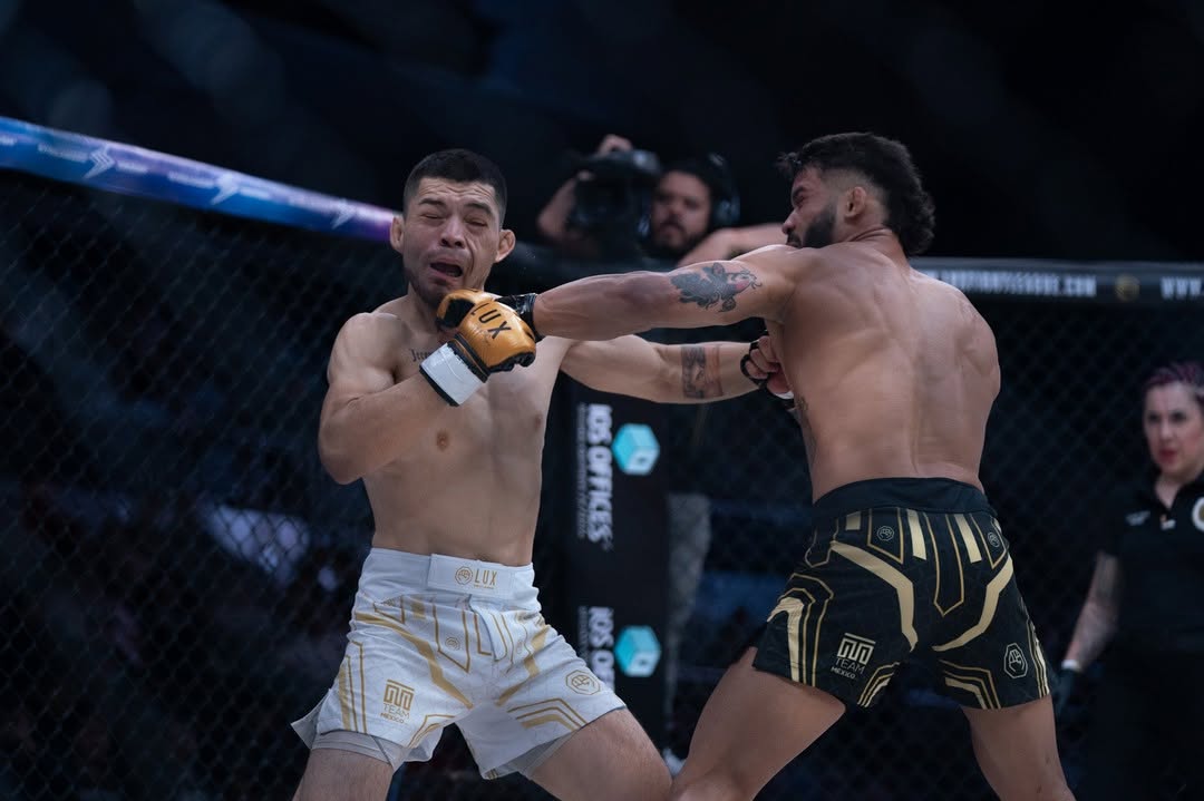 ¿Cuáles fueron los mejores nocauts que nos dejó LUX Fight League en ...